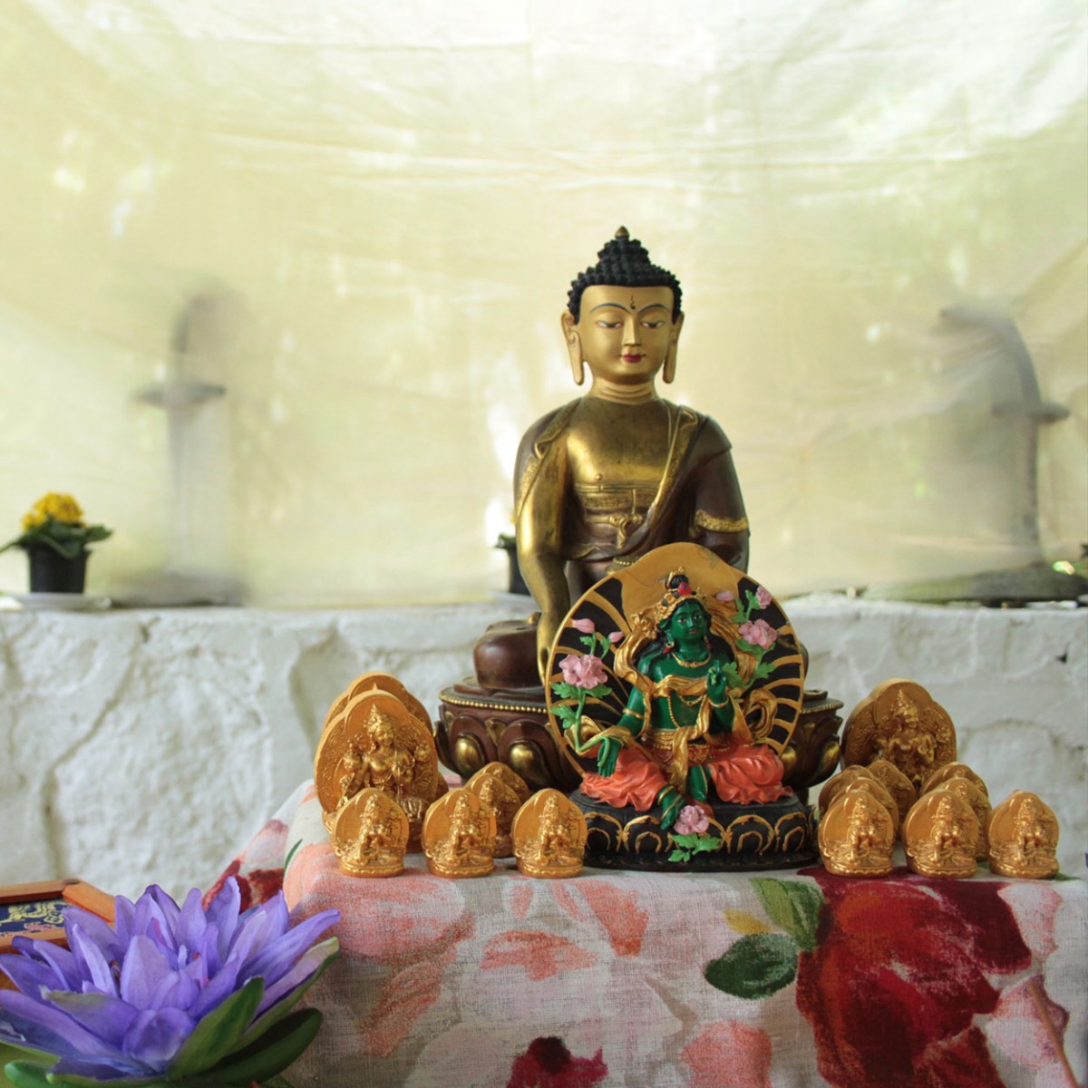 El corazón de las enseñanzas del Buda – Instituto Budadharma