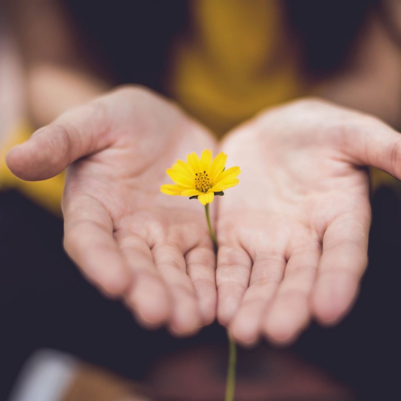 La generosidad: una forma de vida libre y fructífera – Instituto Budadharma